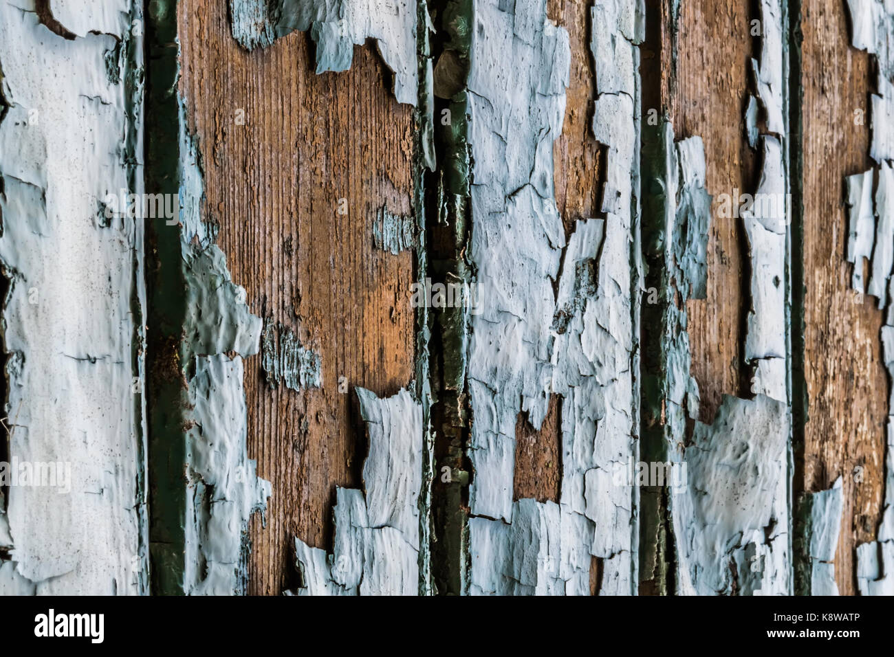 Rustic wood texture with natural patterns surface as background Stock ...