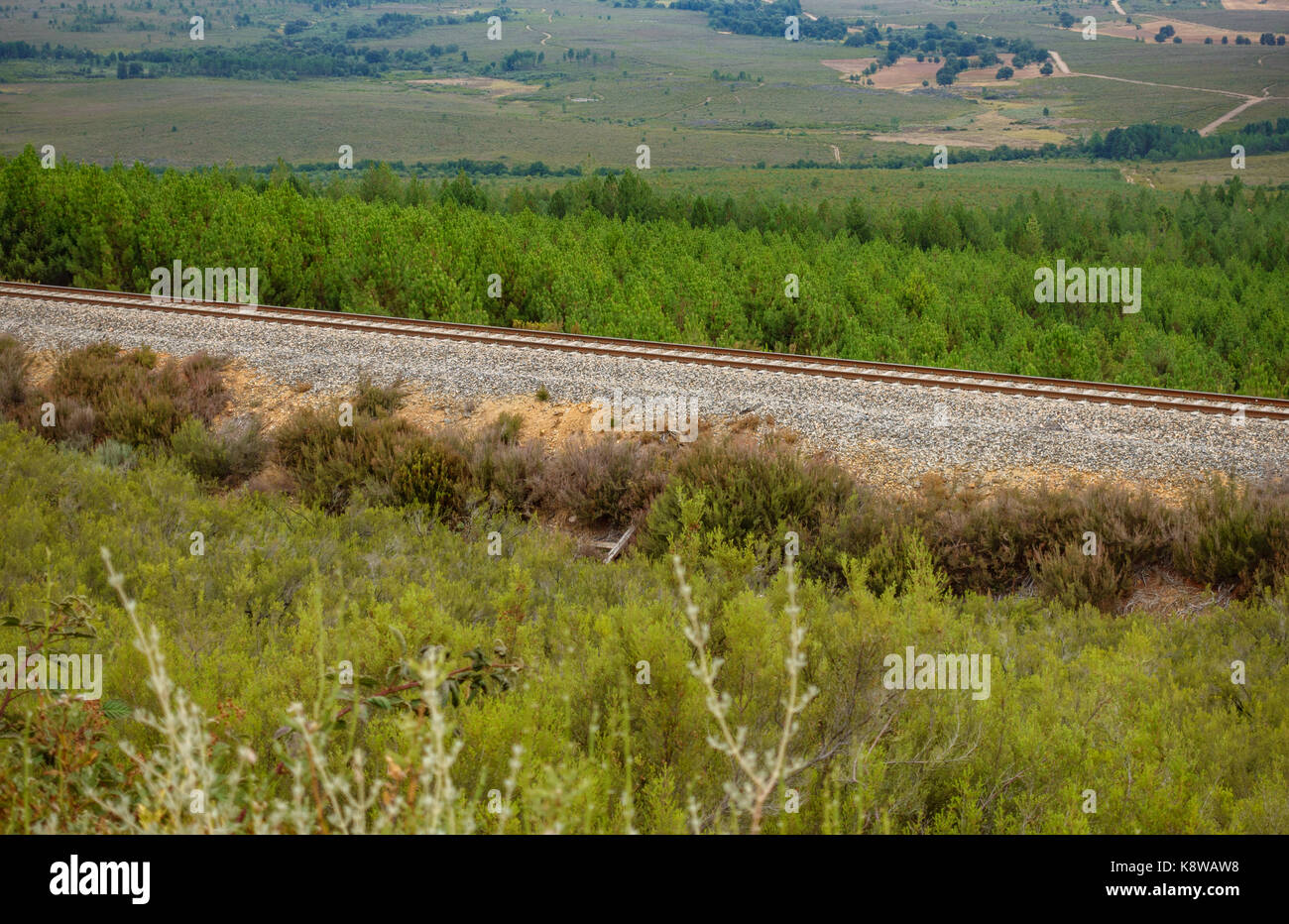 railway in the wild Stock Photo - Alamy