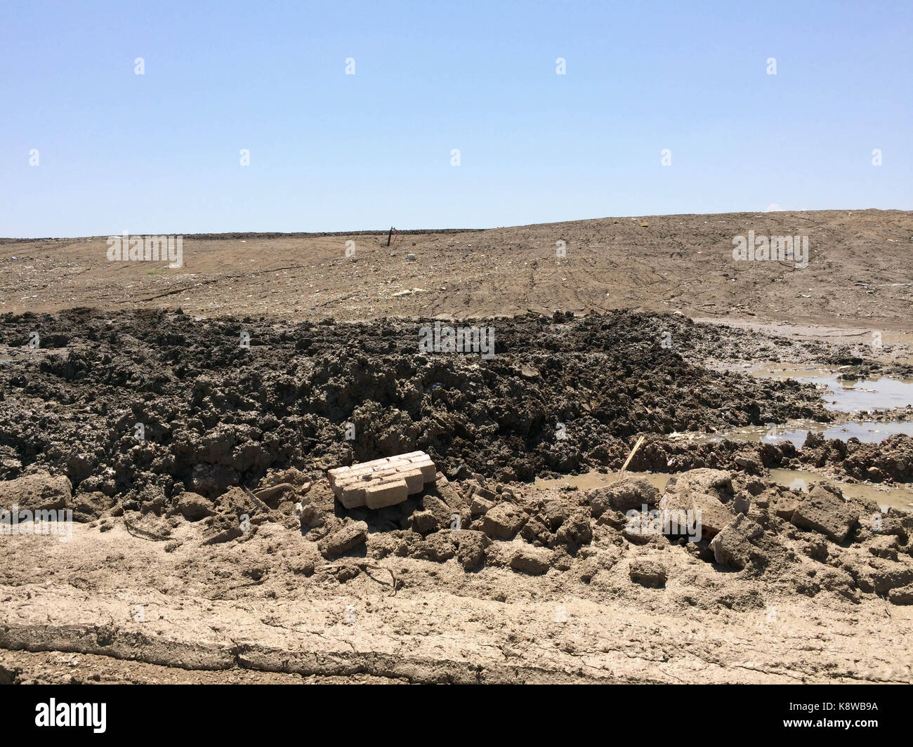 Disgusting landfill hi-res stock photography and images - Alamy