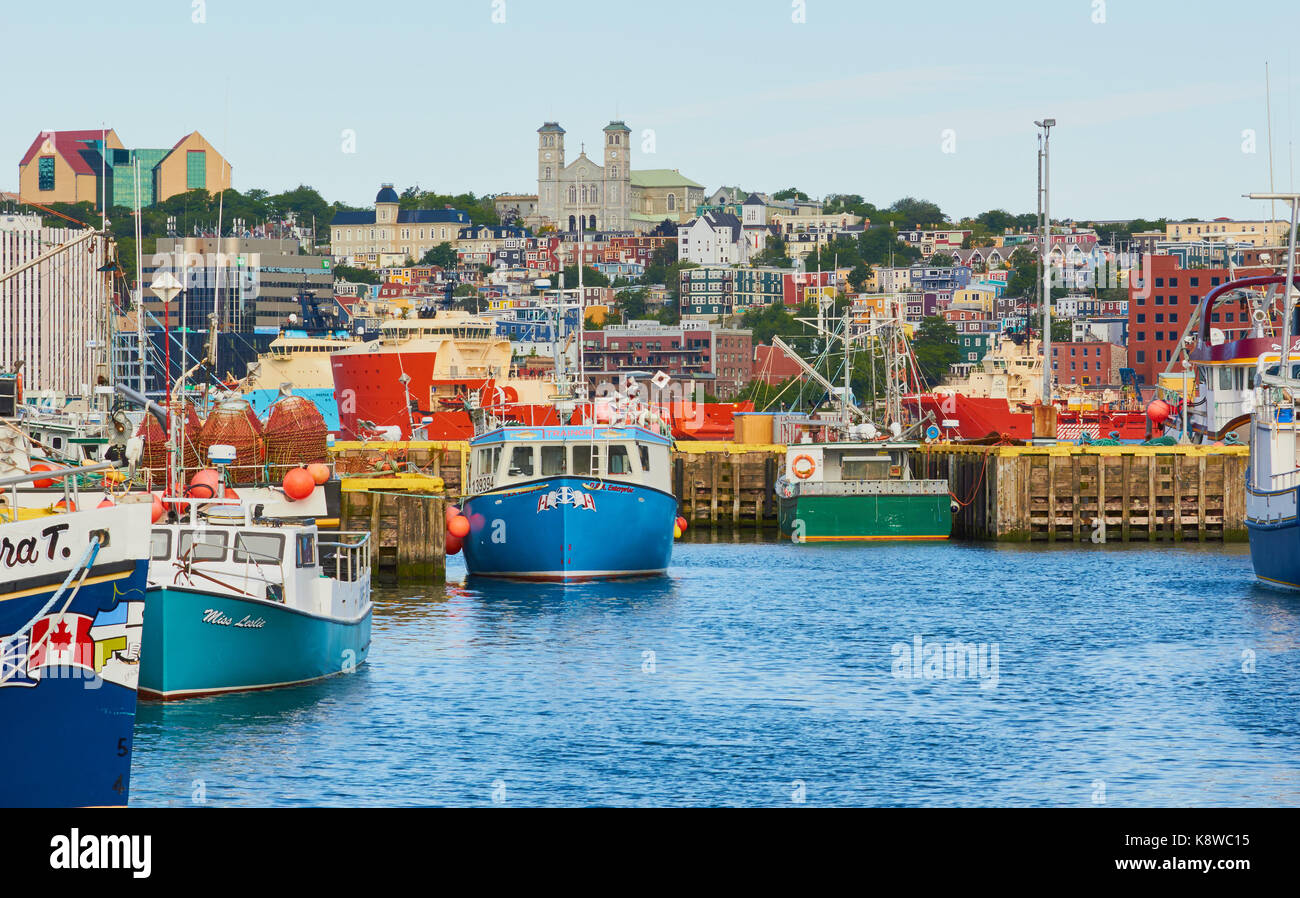 St John's city and port, Newfoundland, Canada Stock Photo - Alamy