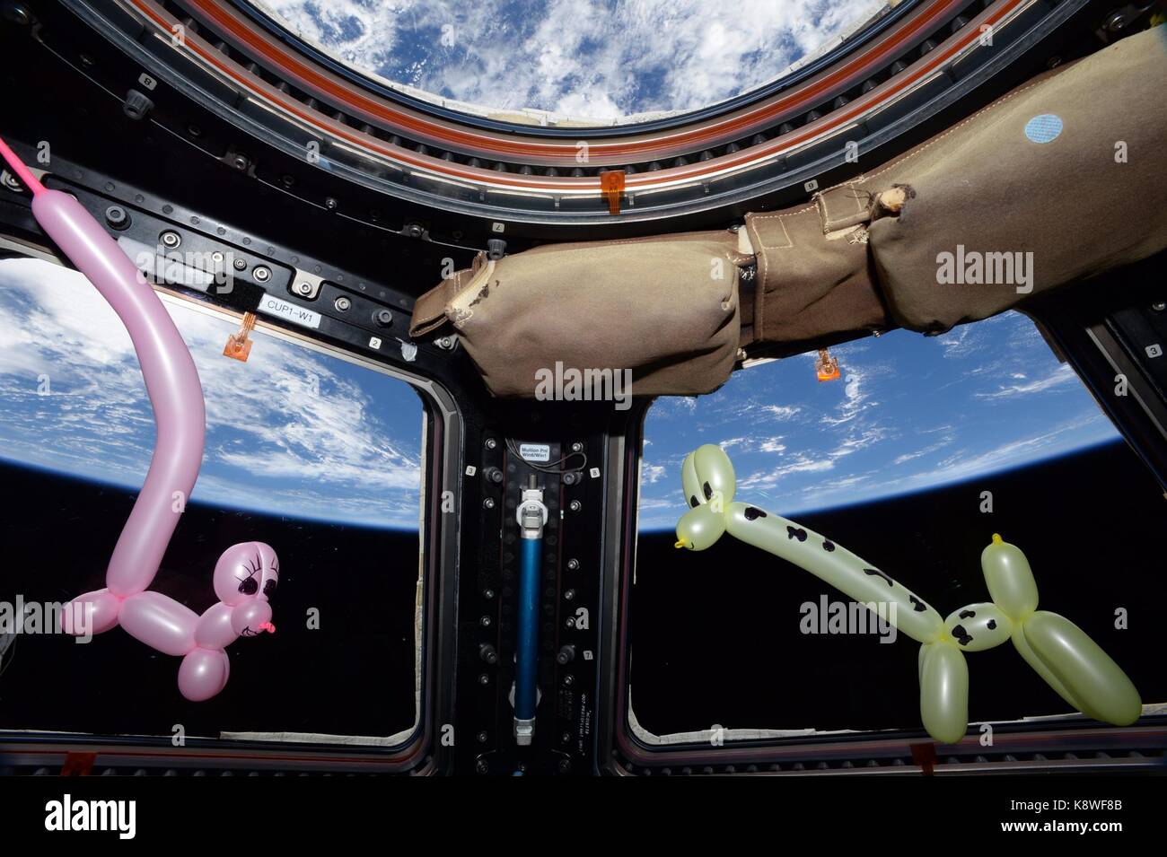 NASA Expedition 52 crew member American astronaut Randy Bresnik created ...