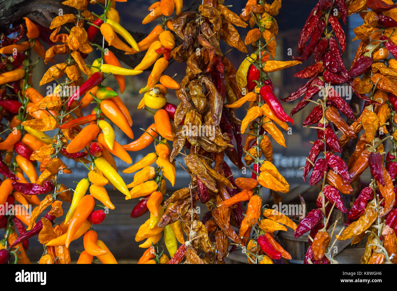 Sorrento, Italy, September 18 2017. Fresh and dried chilis hang in ...