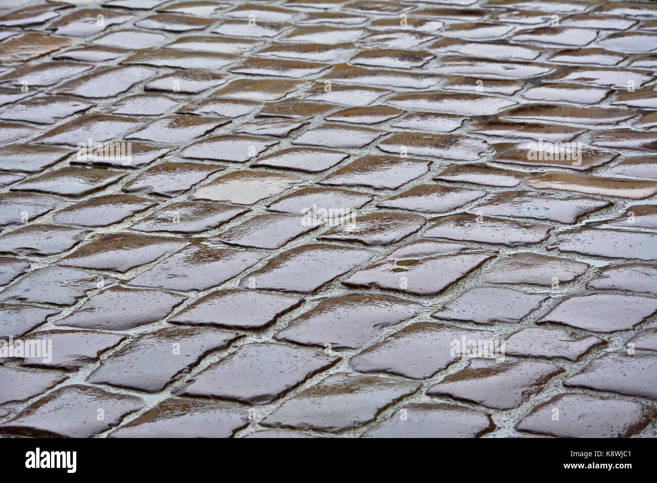 Wet paved surface of the street in the rain. Street in the rain ...