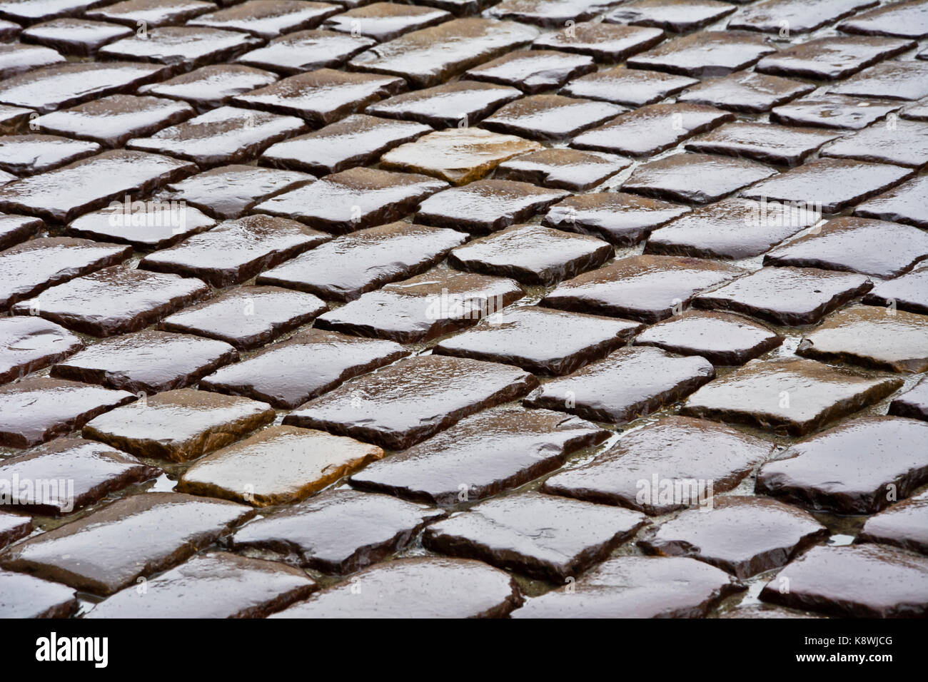 Wet paved surface of the street in the rain. Street in the rain ...