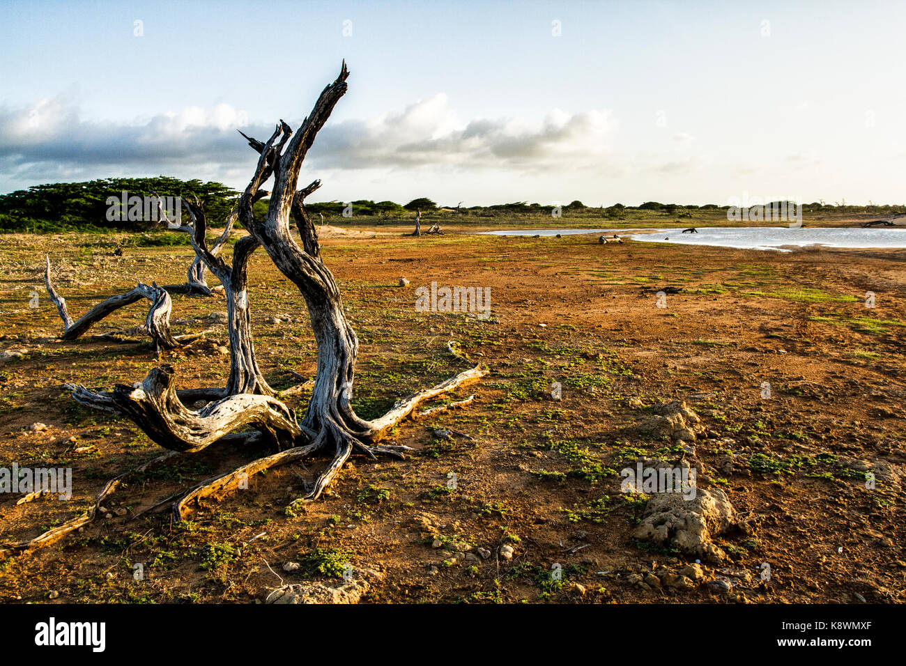 Medanos Blancos Beach (Playa Medanos Blancos)), in Paraguana Peninsula ...