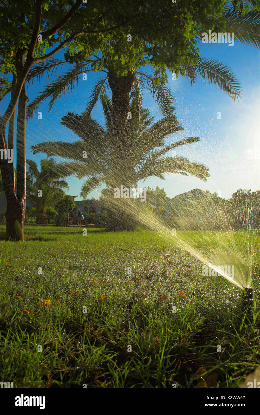 Garden spraying machine hi-res stock photography and images - Alamy