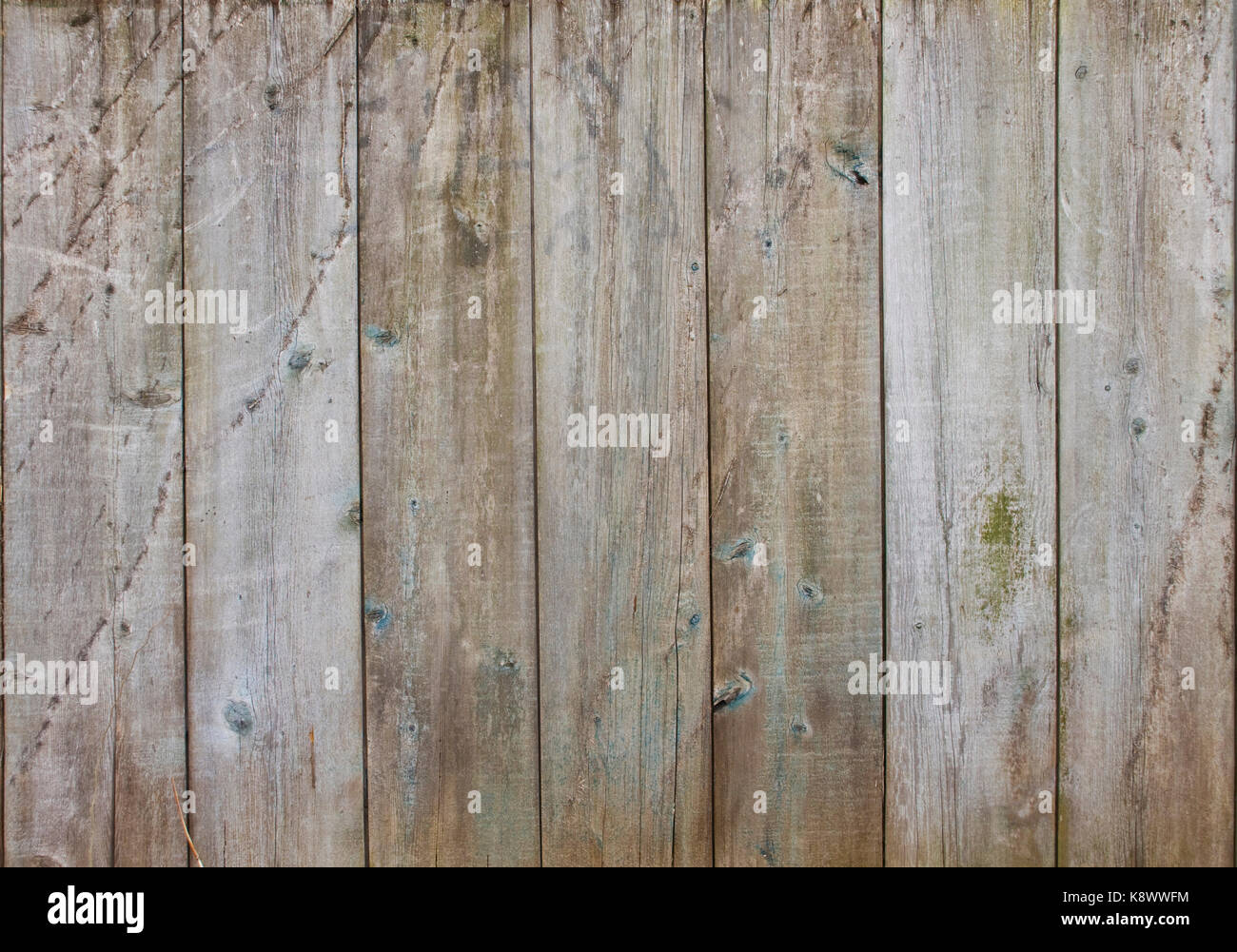 Distressed wooden wall background with weathered boards with scrapes ...