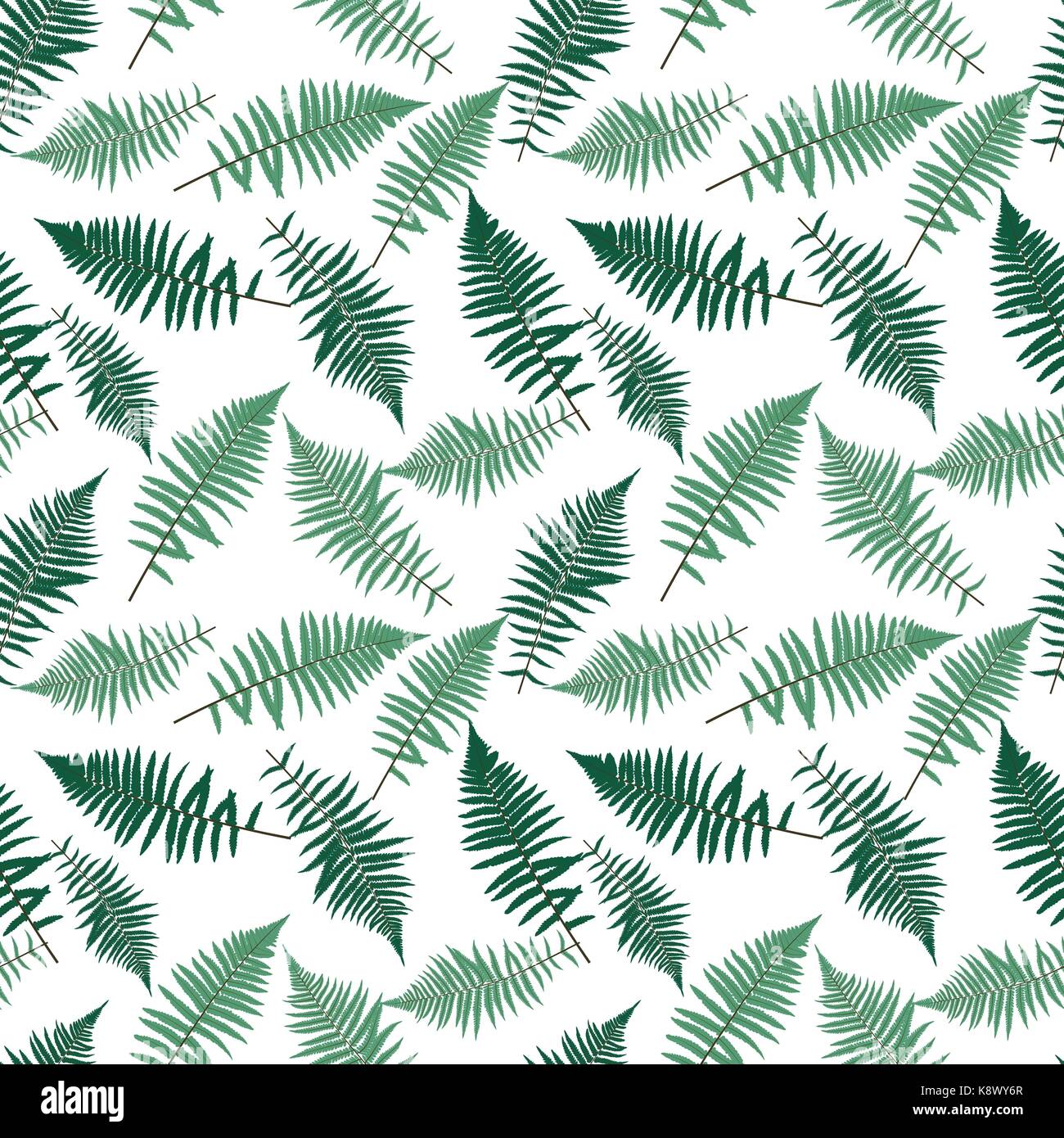 Seamless fern vector pattern hi-res stock photography and images - Alamy