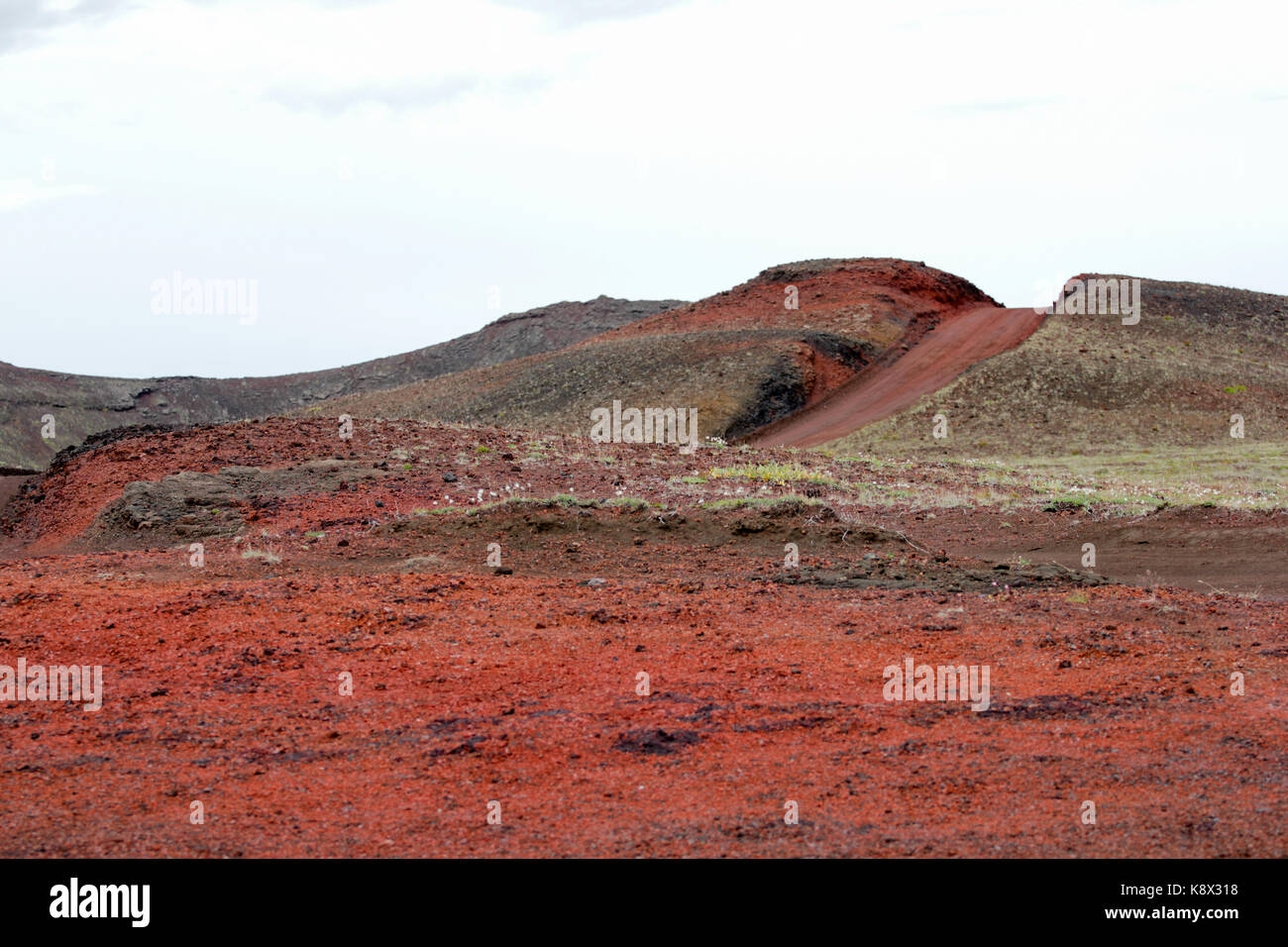 red volcanic soil in Iceland Stock Photo - Alamy