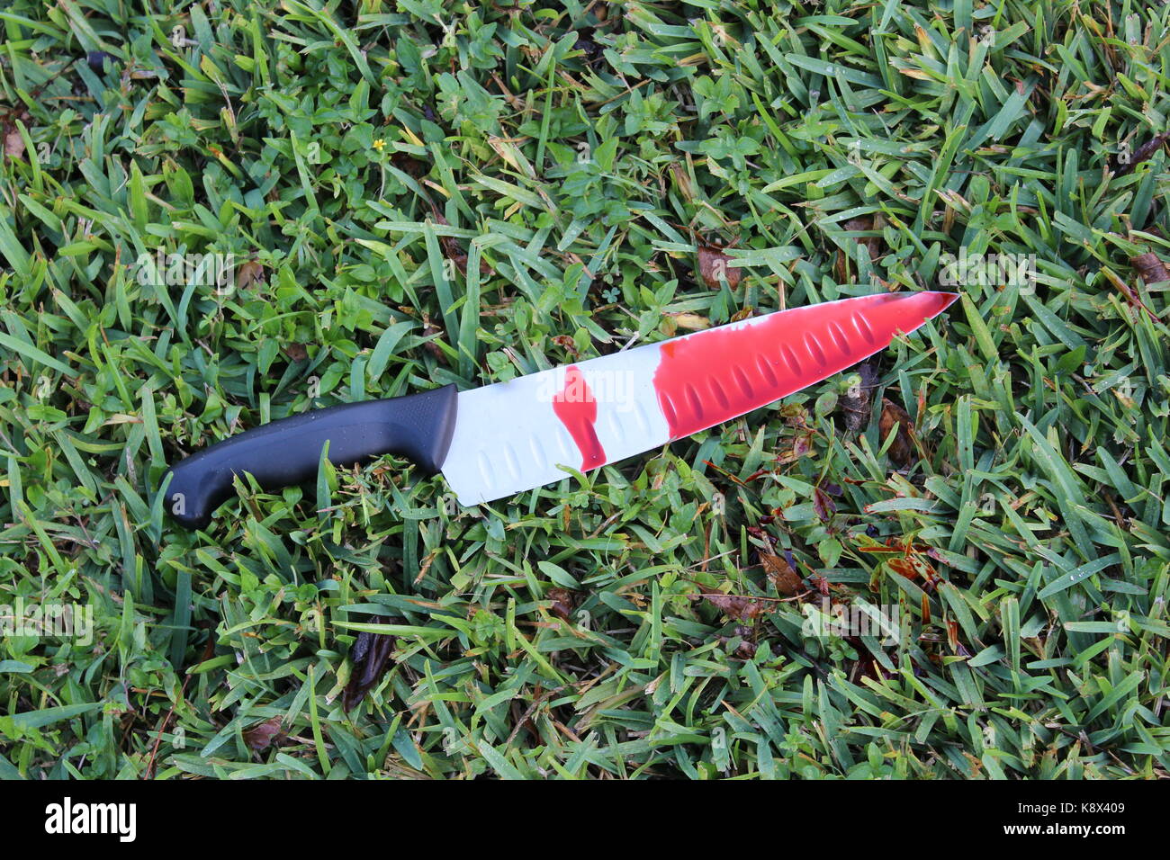 Bloody Butcher Knife in Grass Stock Photo - Alamy