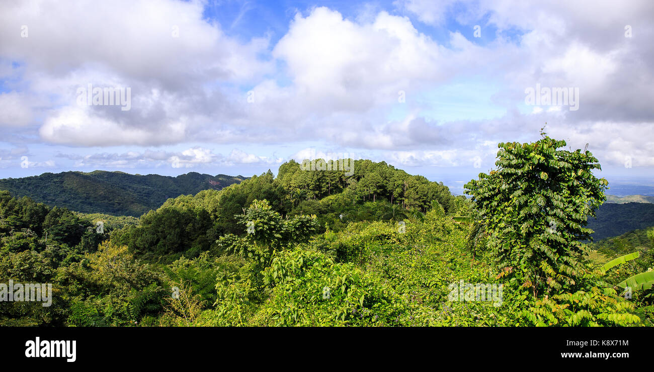 Cumanayagua hi-res stock photography and images - Alamy