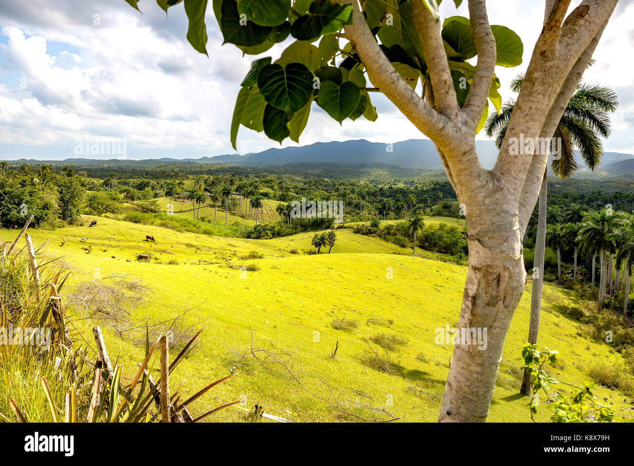 Landscape near Bahia Honda, Cuba Stock Photo - Alamy