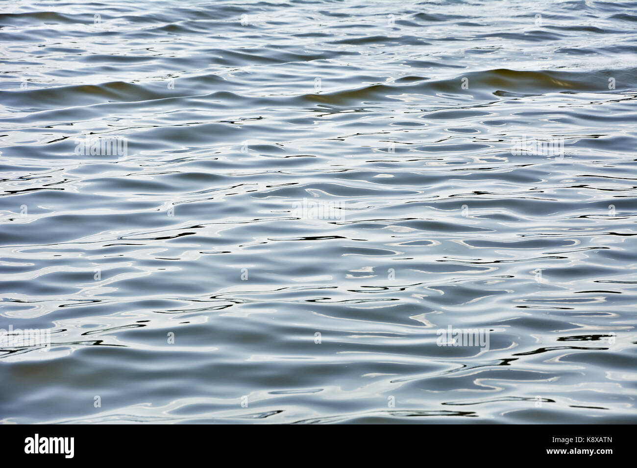 Small waves. Wrinkled by the wind surface water. Small short waves ...