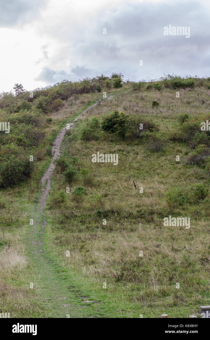 Trail wandering up a grassy hill Stock Photo - Alamy