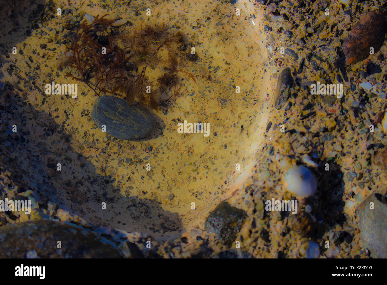 Beach cliffs. Stone, shell and sea. Marine background Stock Photo - Alamy