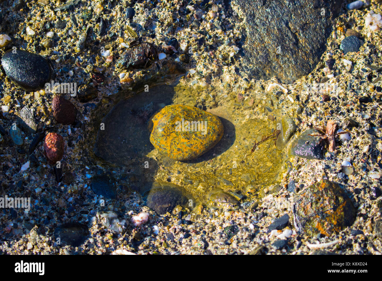 Beach cliffs. Stone, shell and sea. Marine background Stock Photo - Alamy