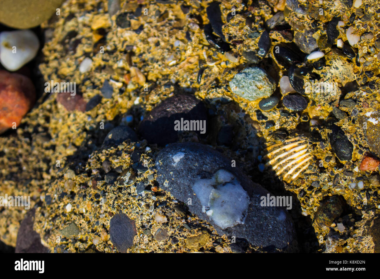 Beach cliffs. Stone, shell and sea. Marine background Stock Photo - Alamy