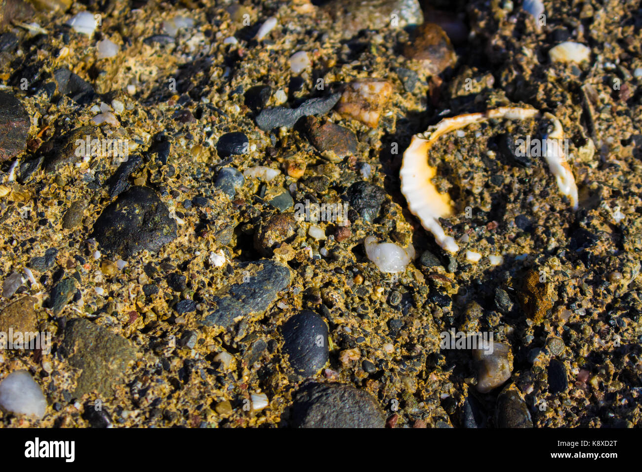 Beach cliffs. Stone, shell and sea. Marine background Stock Photo - Alamy