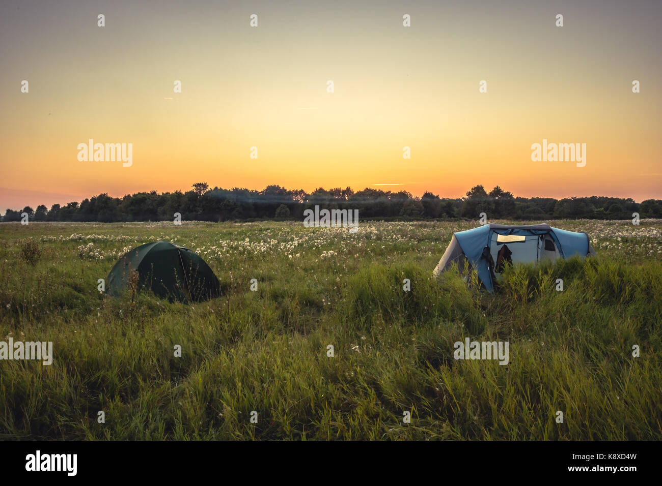Camping tent on summer rural field with forest on background and orange ...