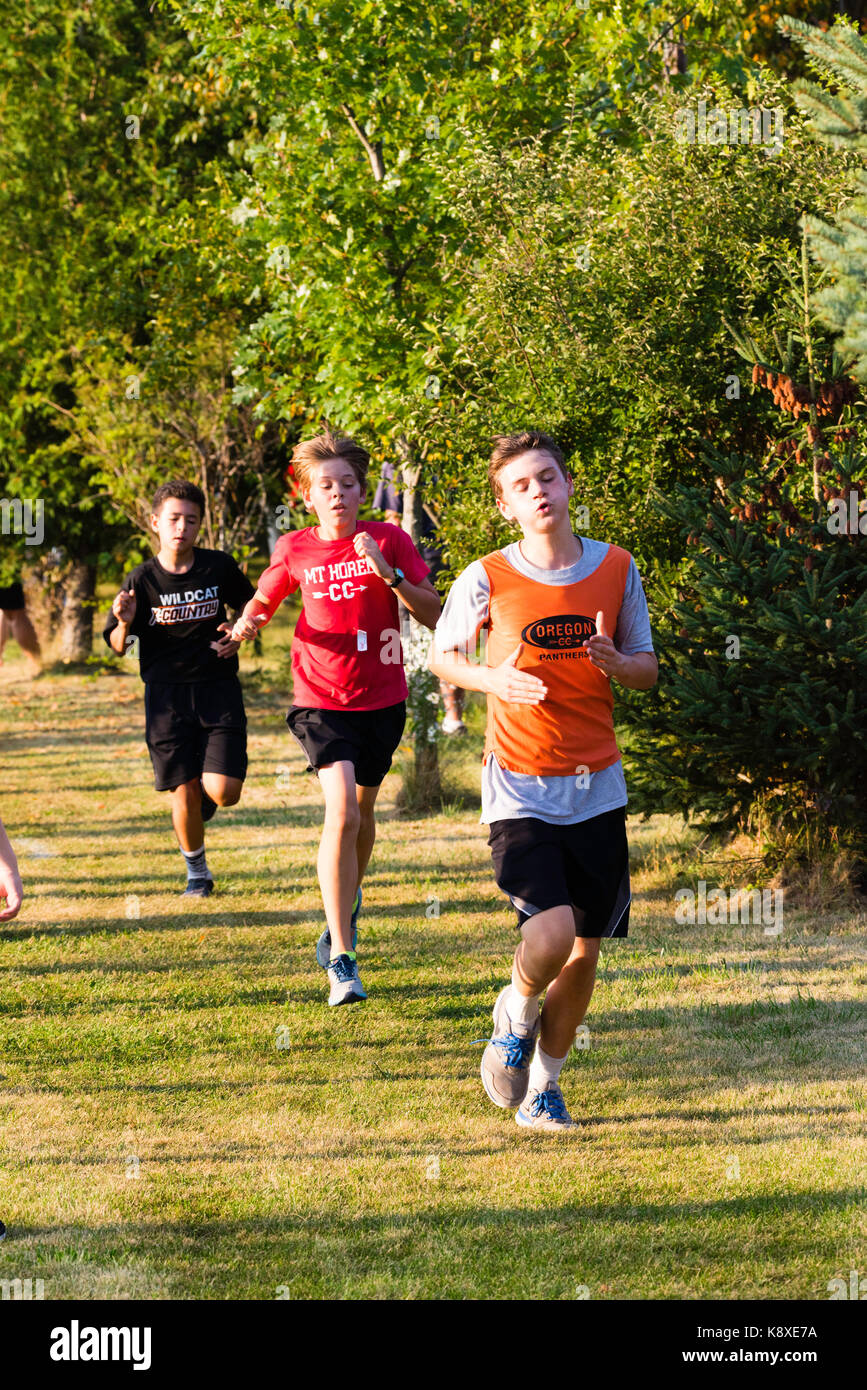 Edgewood High School High Resolution Stock Photography and Images - Alamy