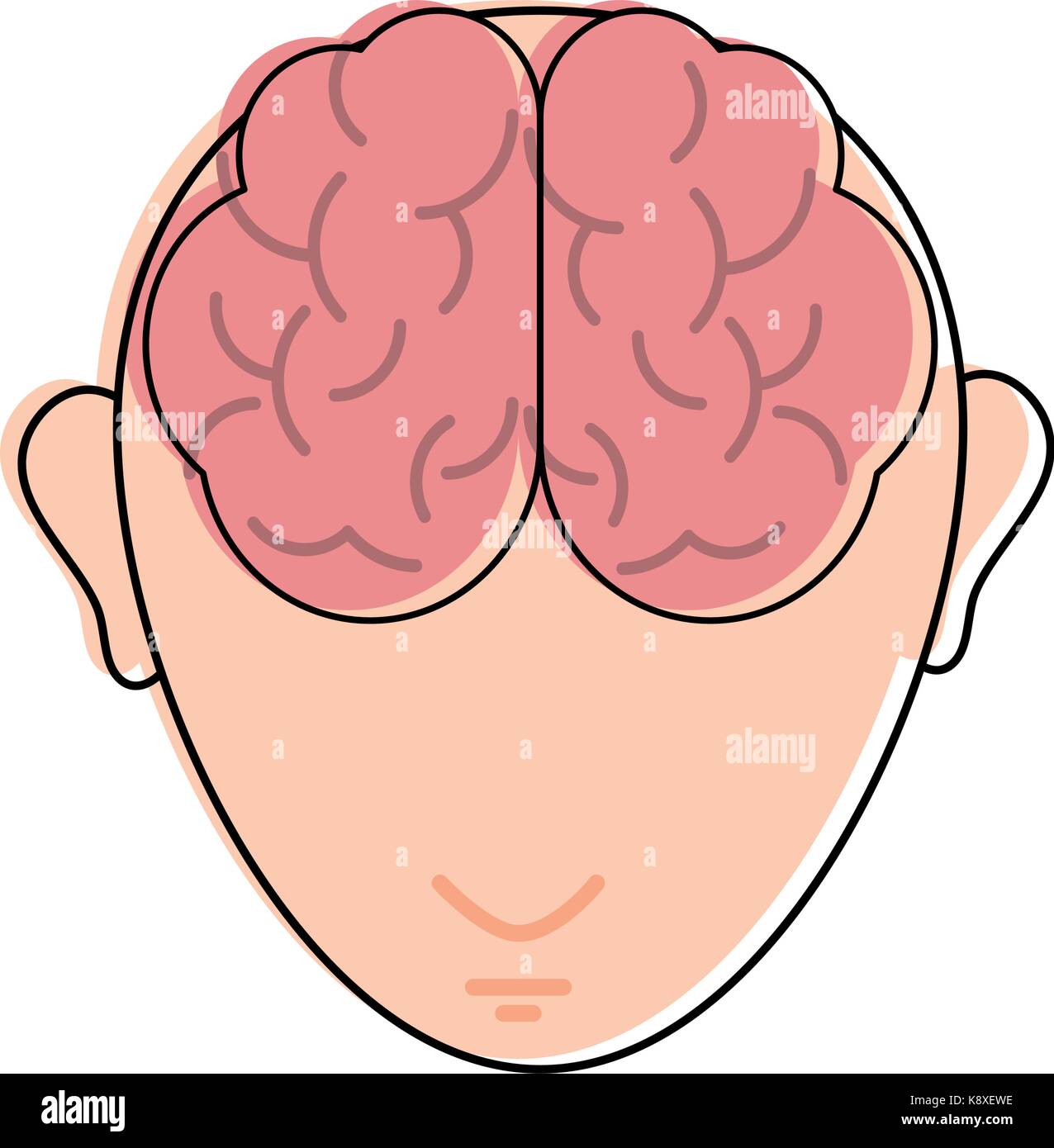 human brain inside head topview icon image Stock Vector Image & Art - Alamy