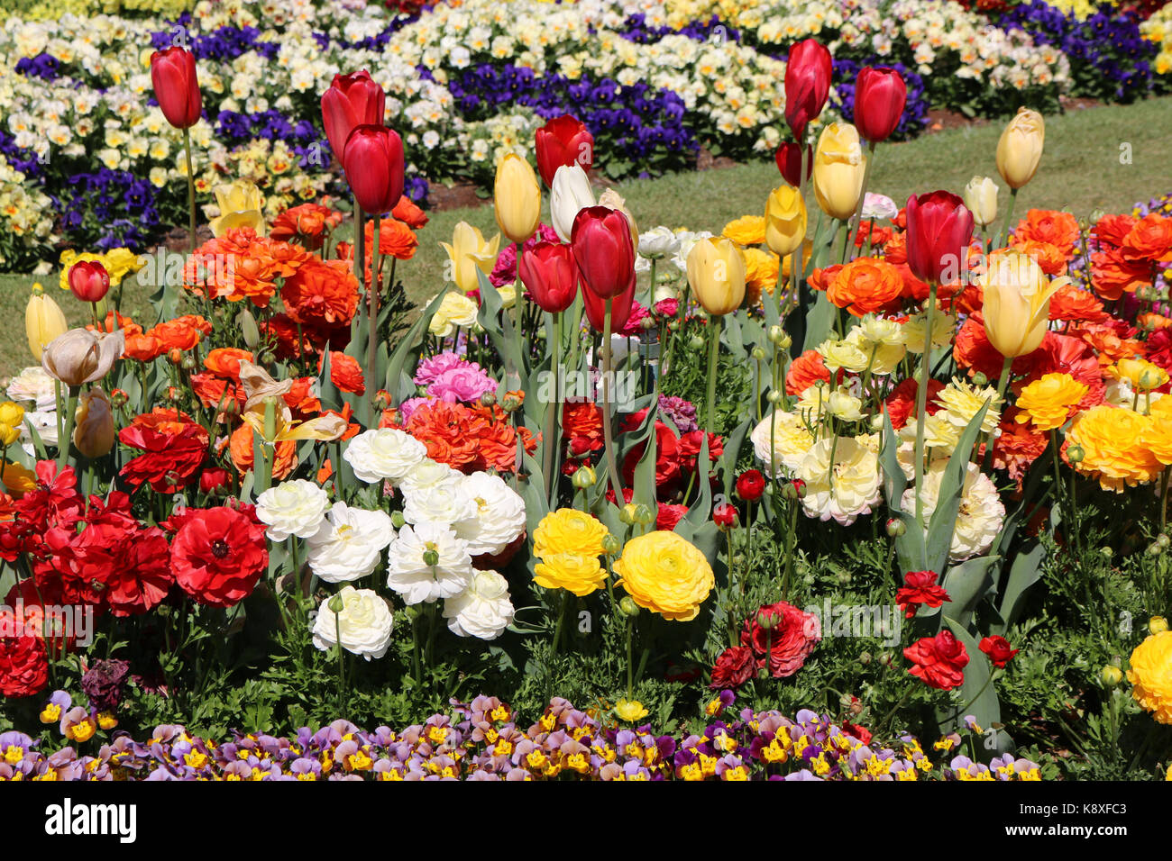 Mixture of colours hi-res stock photography and images - Alamy