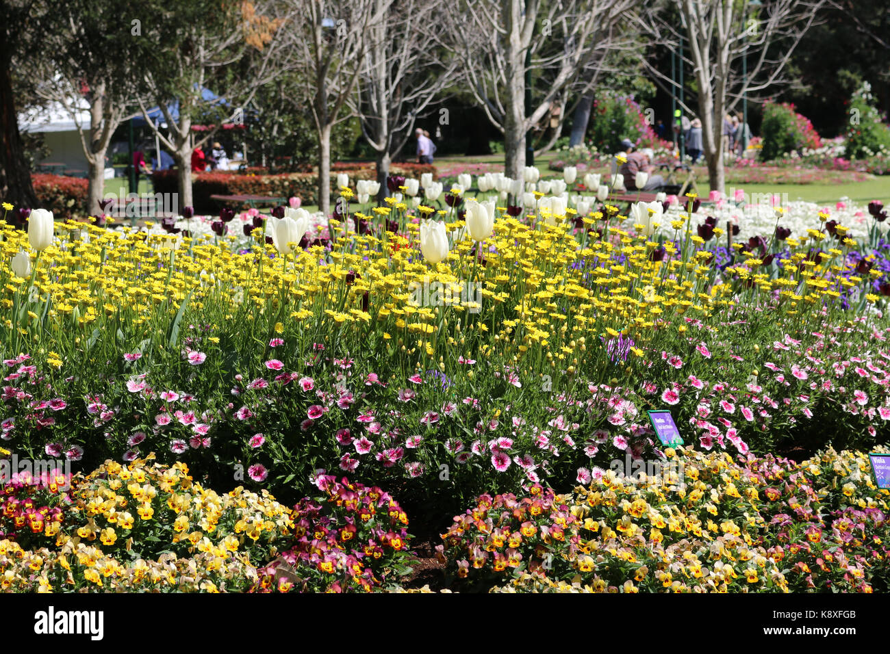Floral display gardens hi-res stock photography and images - Alamy
