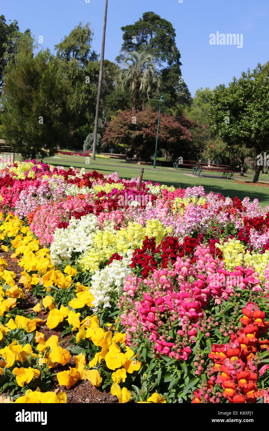 Floral display gardens hi-res stock photography and images - Alamy