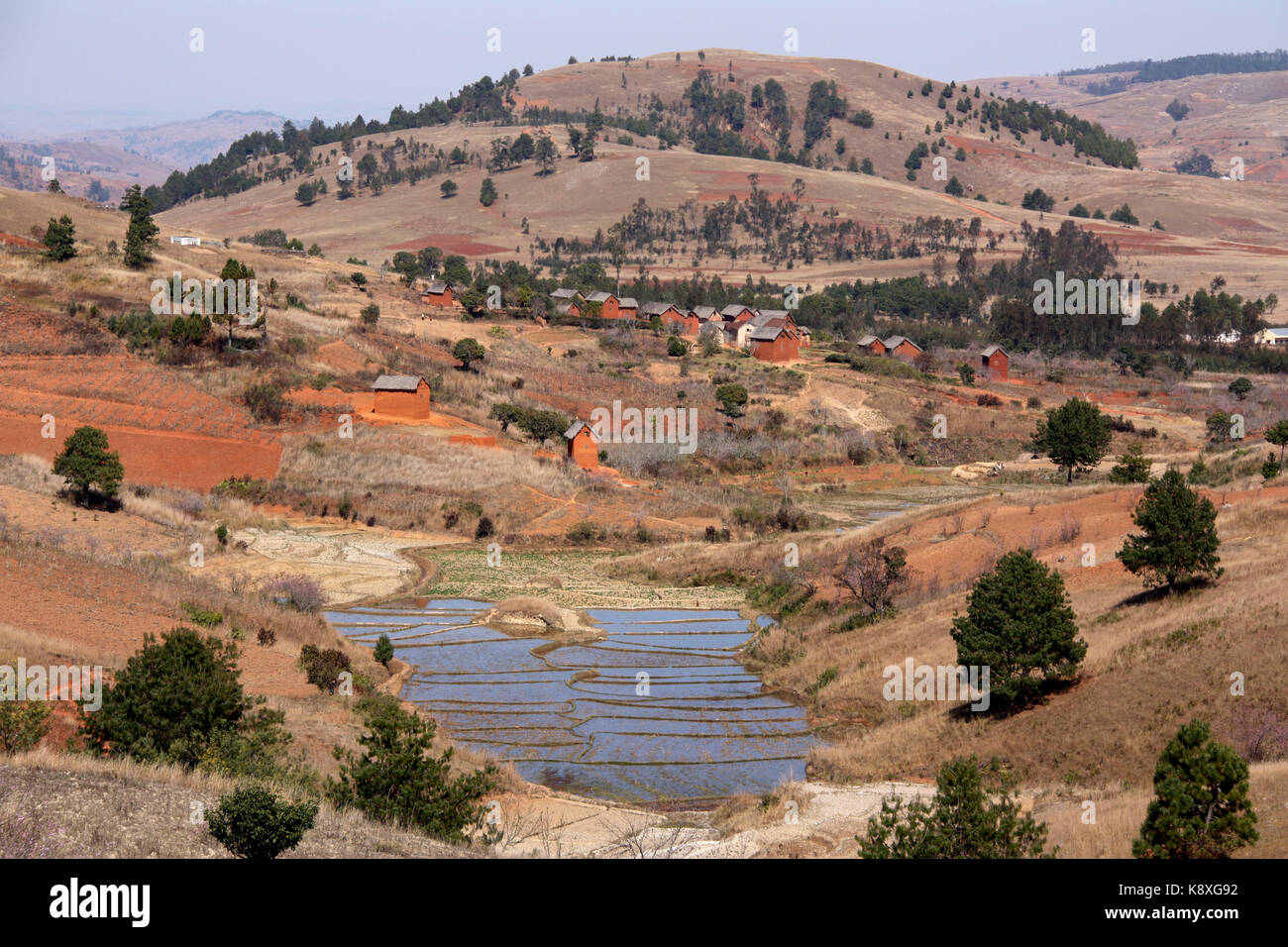 Rice Cultivation in Madagascar Countryside Stock Photo - Alamy