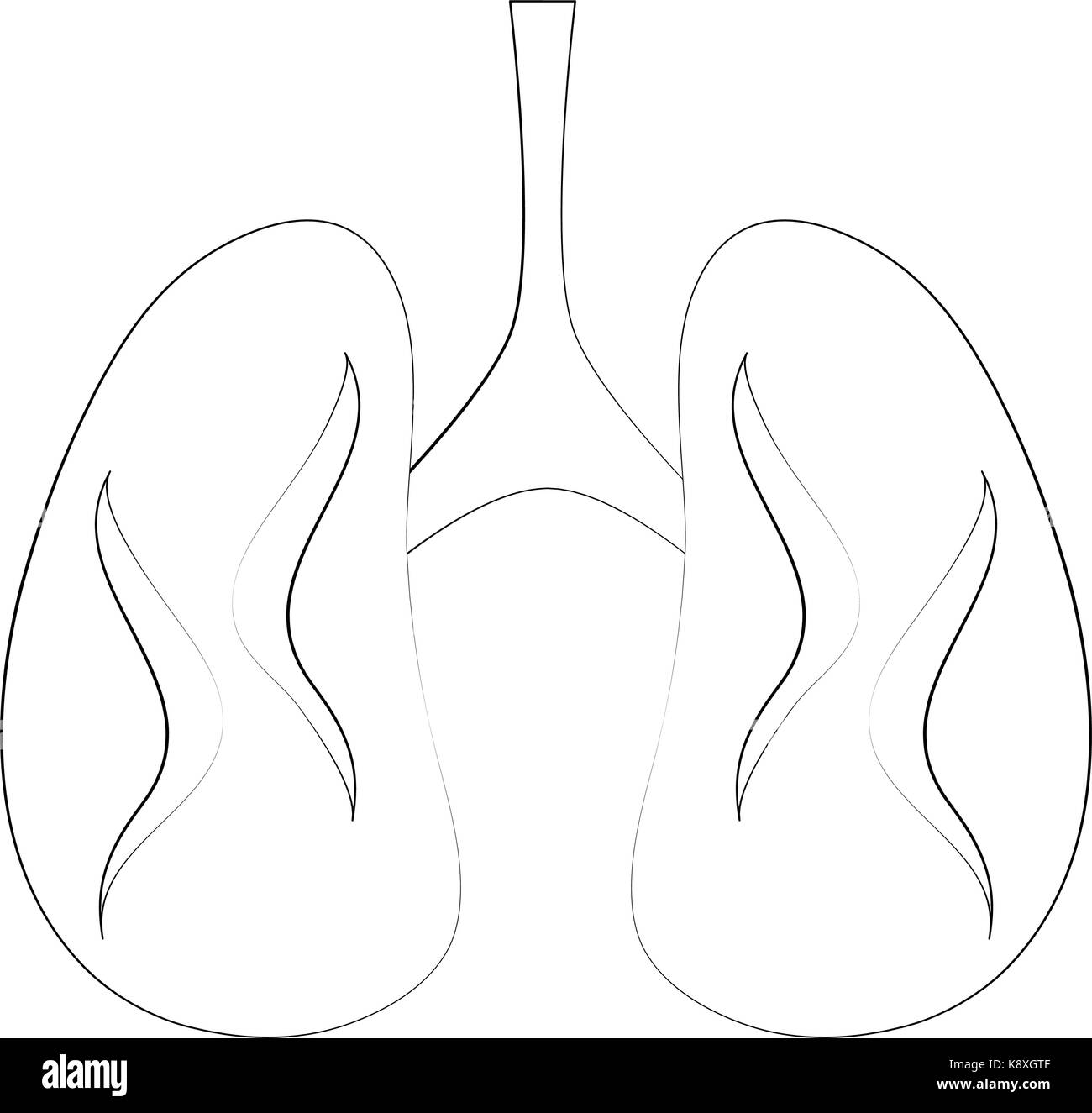 lungs anatomy icon image Stock Vector Image & Art - Alamy