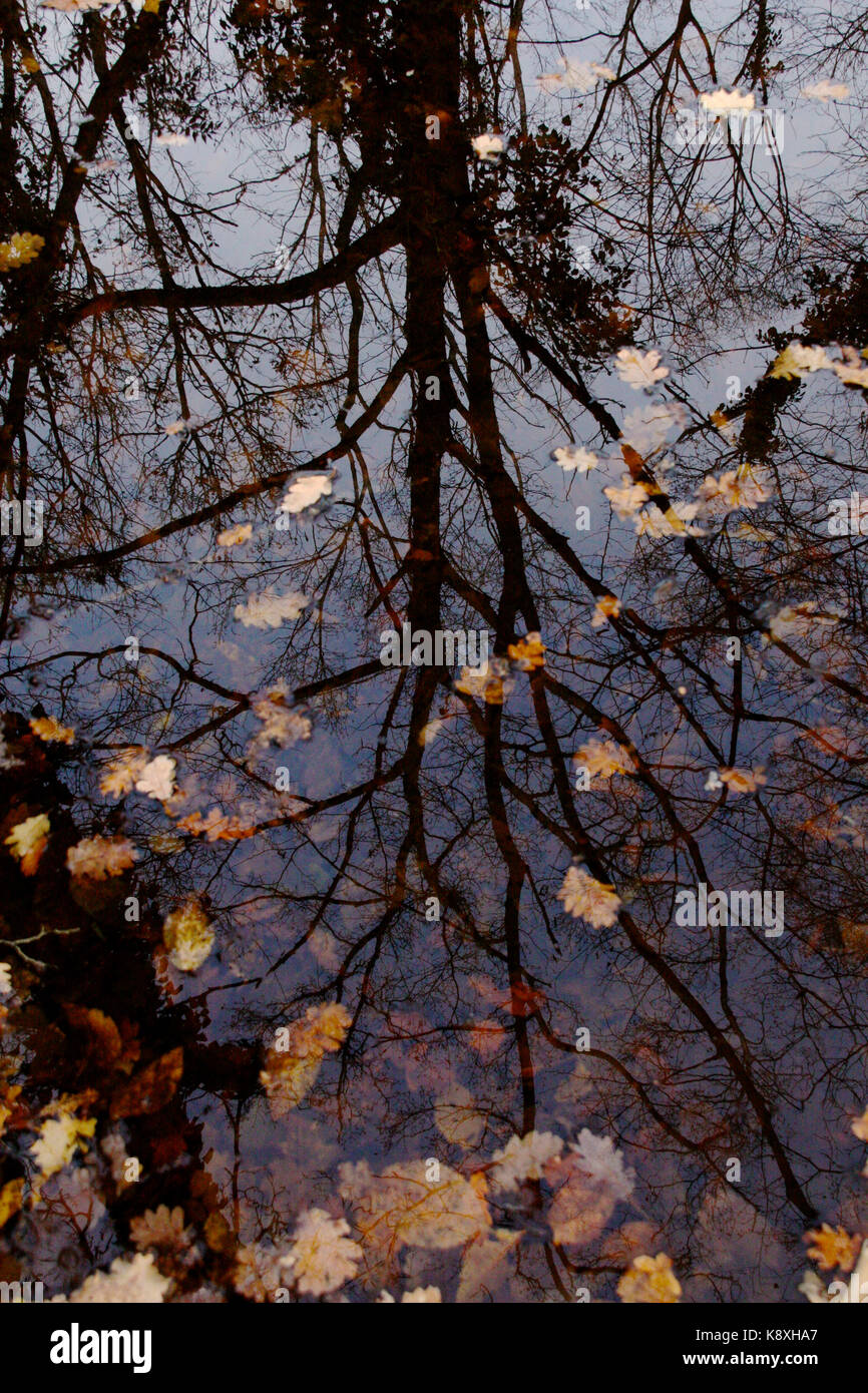 Reflection power hi-res stock photography and images - Alamy