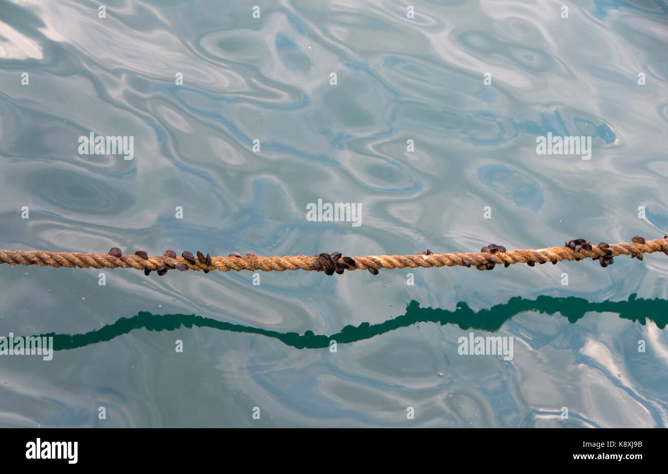 Marine rope for boat docking. Hemp or boat rope Stock Photo - Alamy