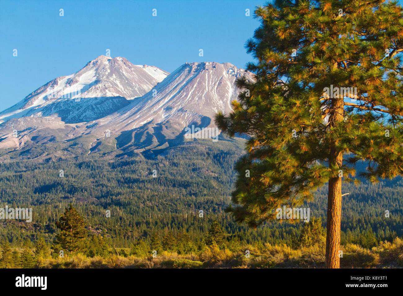USA, California, Mount Shasta Stock Photo - Alamy