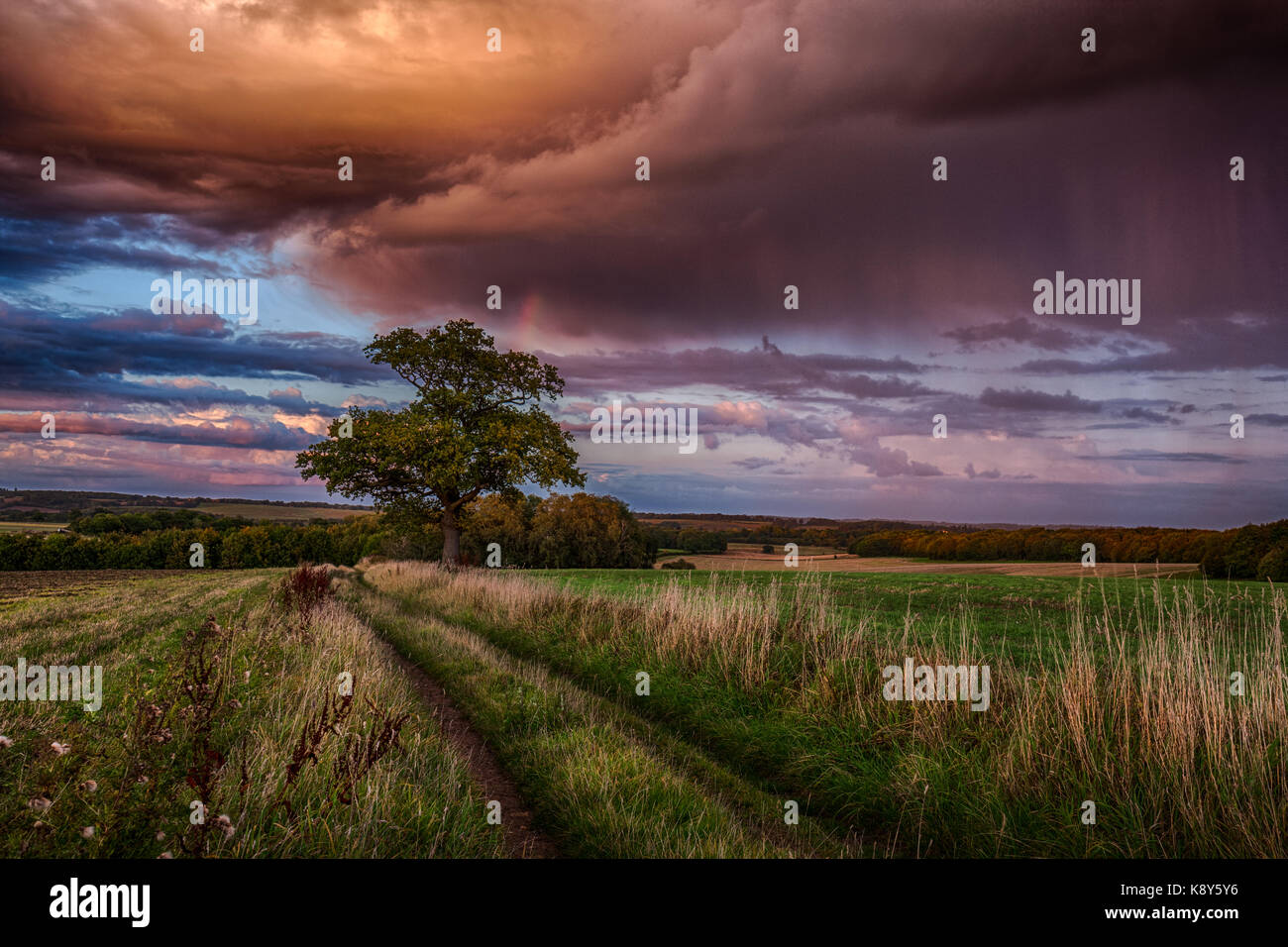Hertfordshire countryside during a passing rain shower with rainbow ...
