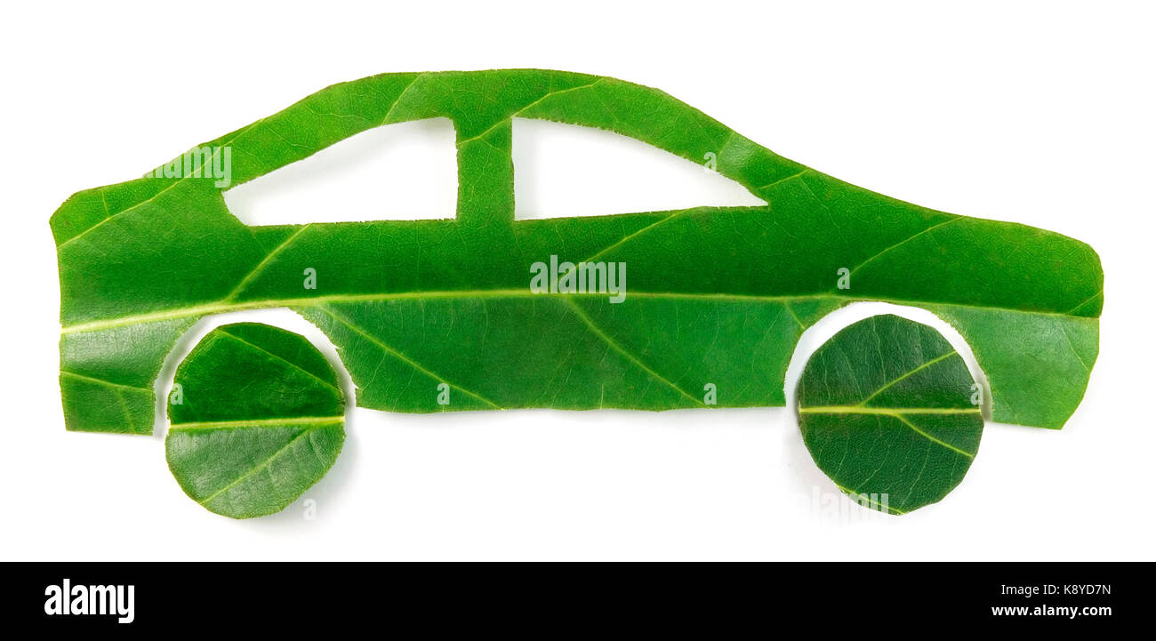 Isolated auto leaf on a white background Stock Photo - Alamy