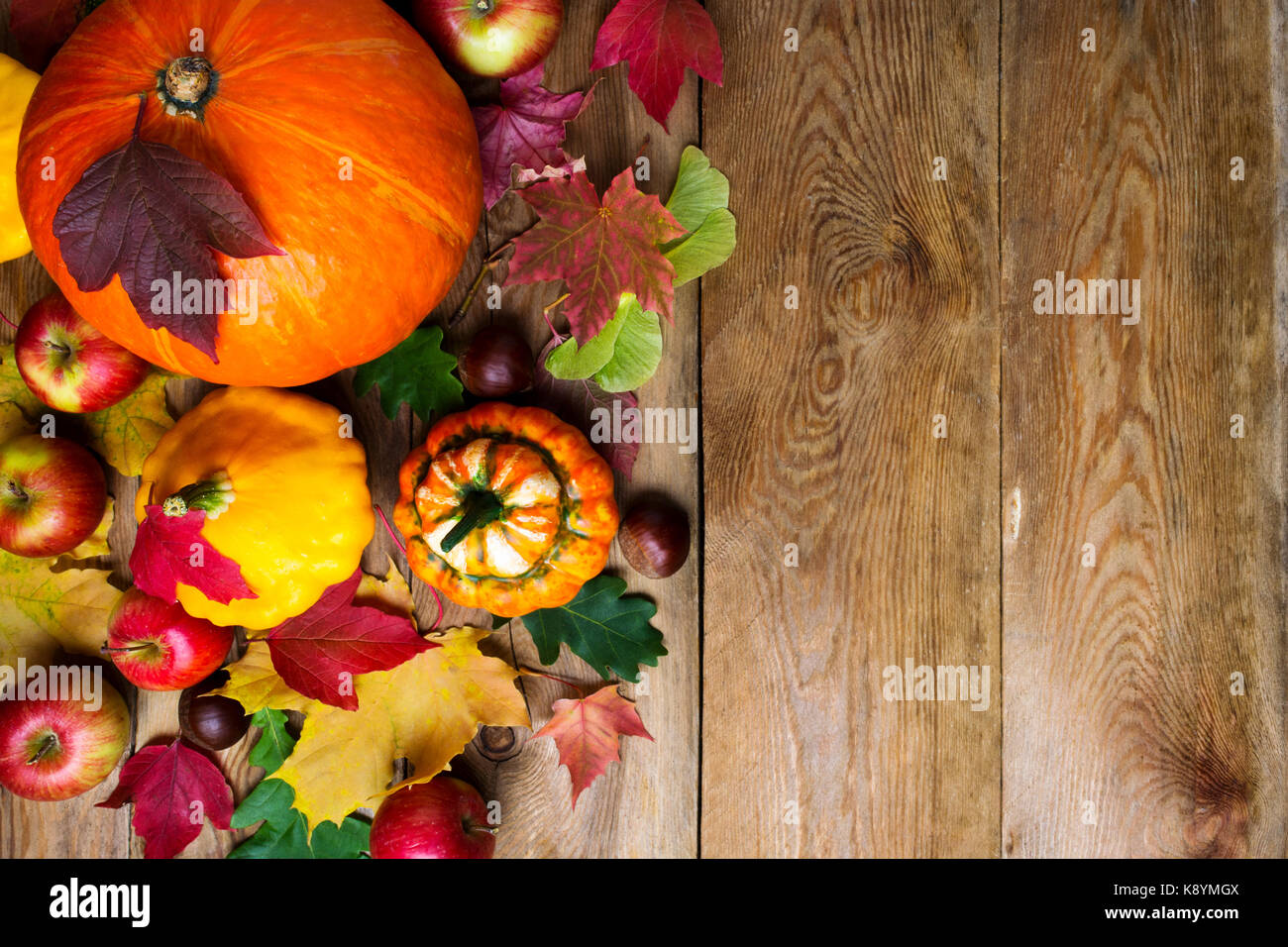 Chestnut, apples, pumpkins and yellow gourd with colorful maple leaves ...
