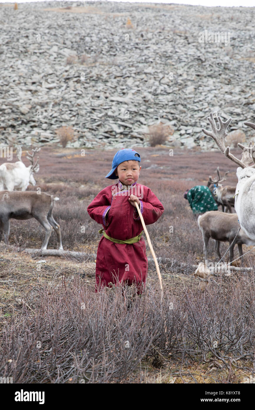 tsaatan nomadic boy in a traditional deel sitting on a rein deer horn ...