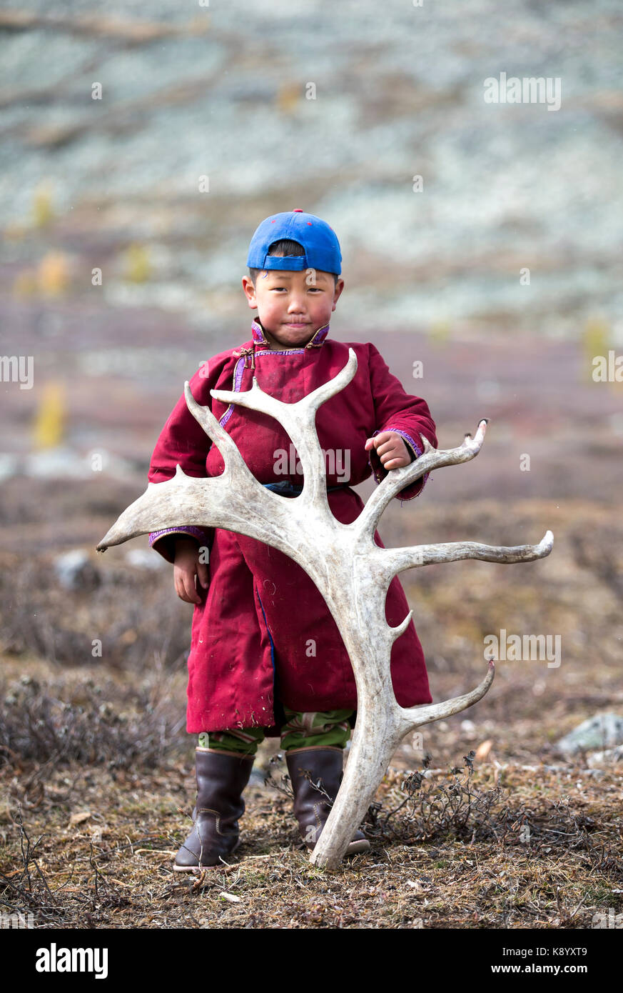 tsaatan nomadic boy in a traditional deel sitting on a rein deer horn ...