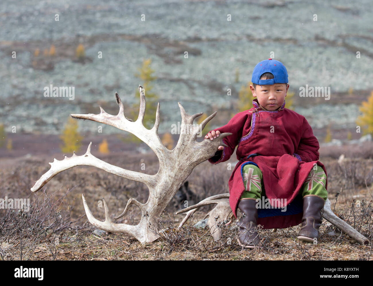 tsaatan nomadic boy in a traditional deel sitting on a rein deer horn ...