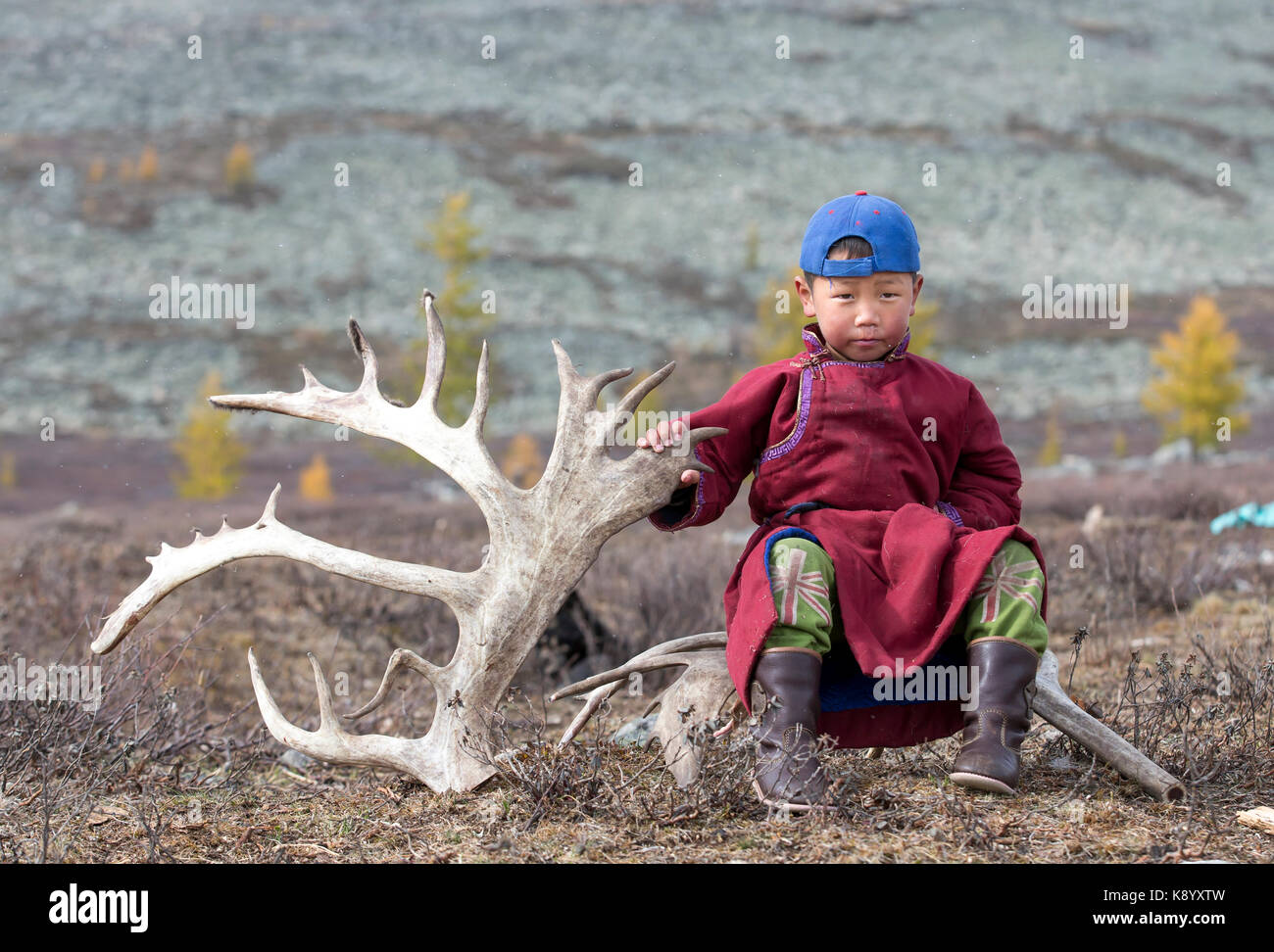 tsaatan nomadic boy in a traditional deel sitting on a rein deer horn ...