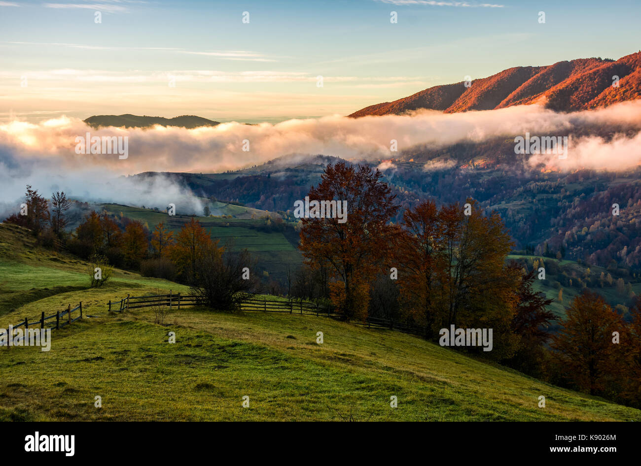 fence and trees on rural hillside meadow in morning fog. stunning ...