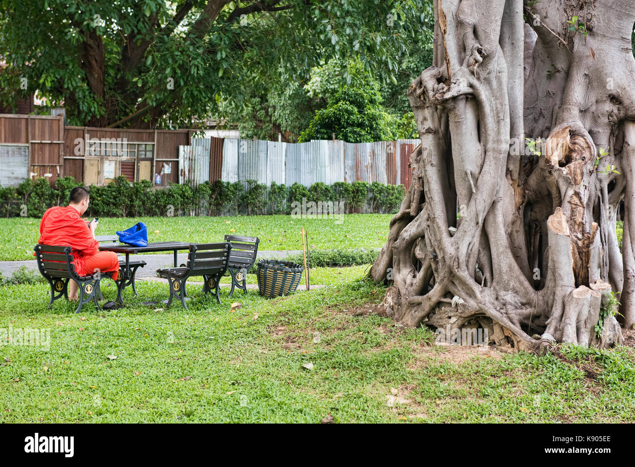 Monk relaxing in the garden, Bangkok, Thailand Stock Photo - Alamy