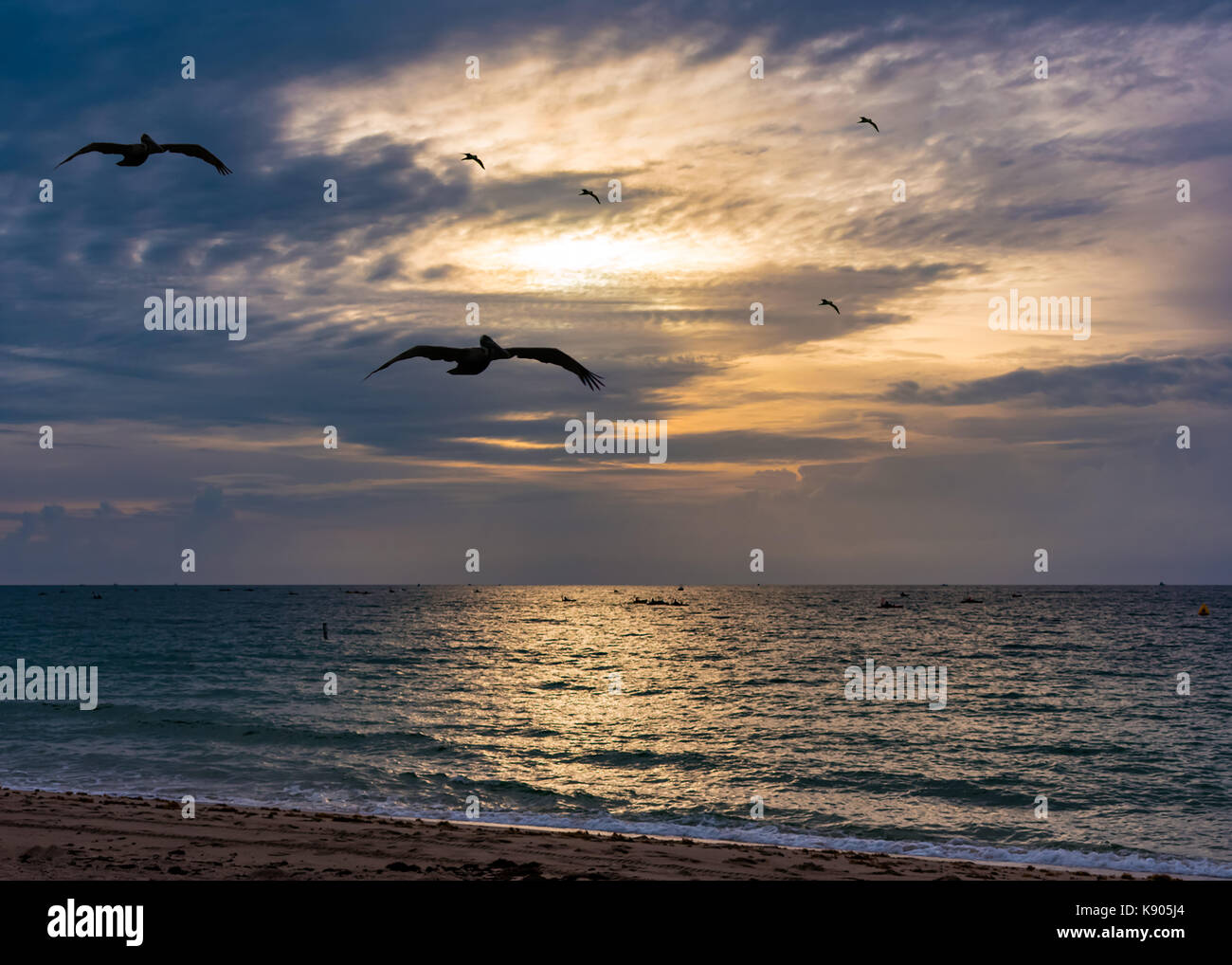 birds flying and fishing boats seen from the beach shore on a hot ...