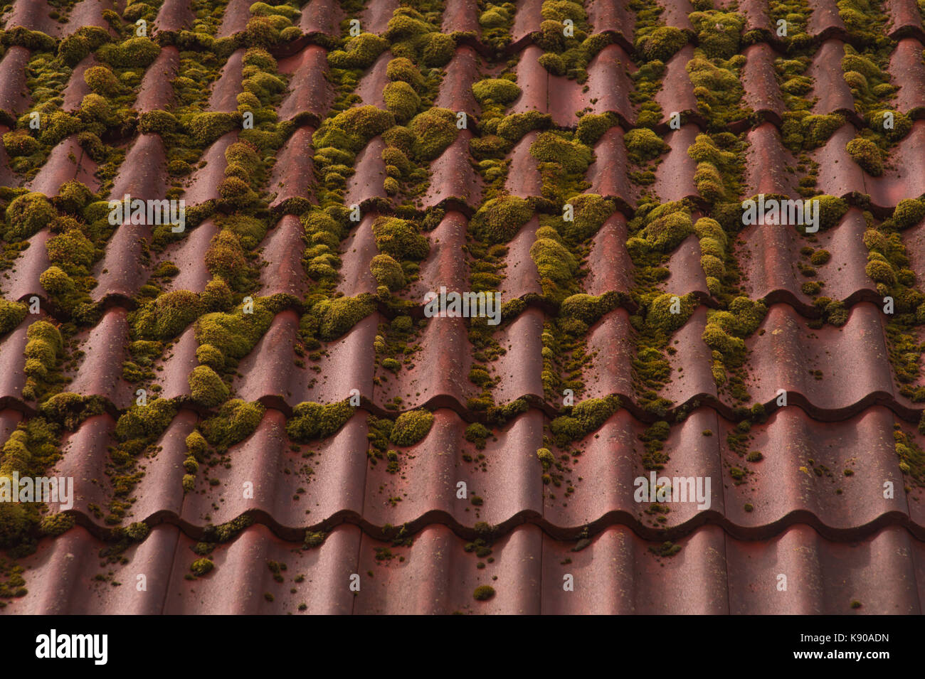 Roof texture hi-res stock photography and images - Alamy