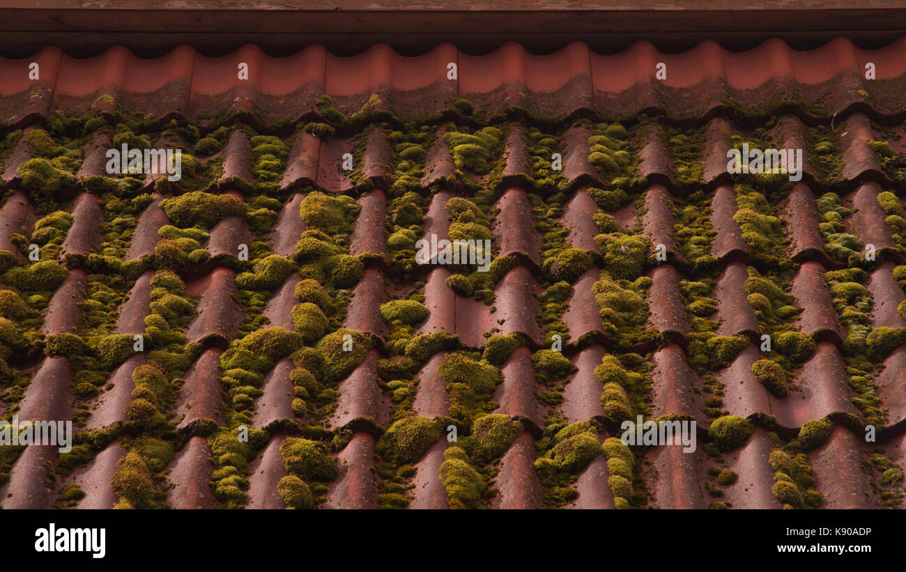 red tile roof texture background Stock Photo - Alamy
