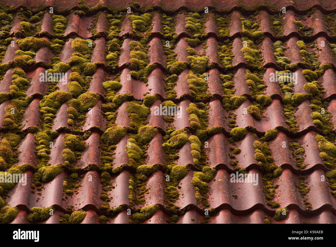 red tile roof texture background Stock Photo - Alamy