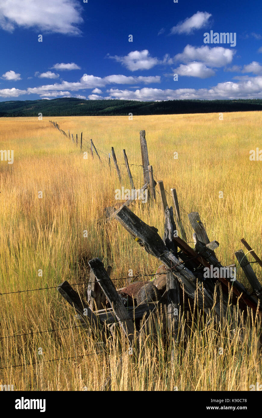 Logan Valley with ranch fence, Malheur National Forest, Oregon Stock ...