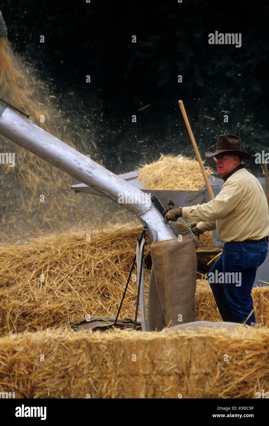 Historical threshing wheat hi-res stock photography and images - Alamy