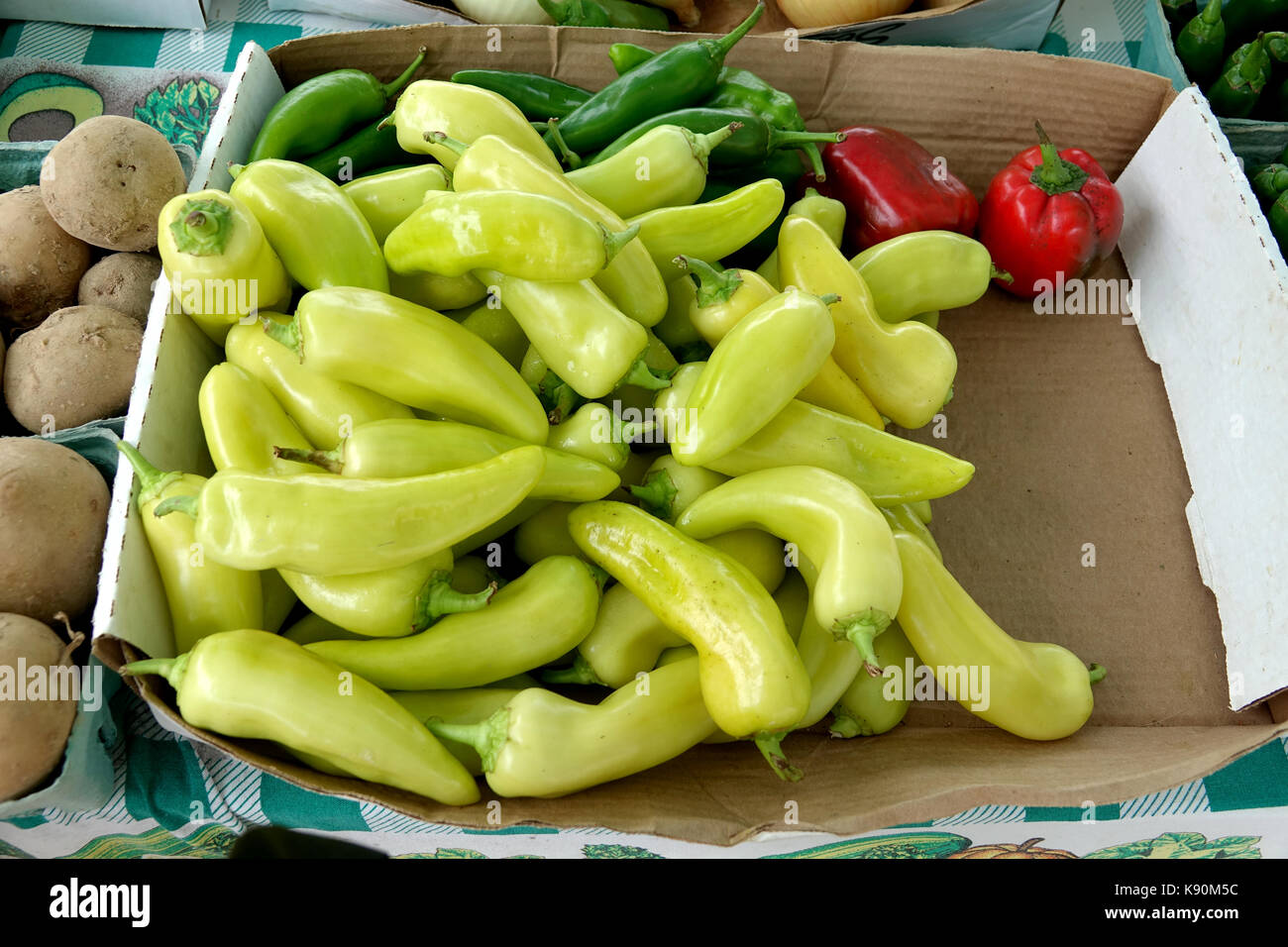 Gourd with rough texture hi-res stock photography and images - Alamy