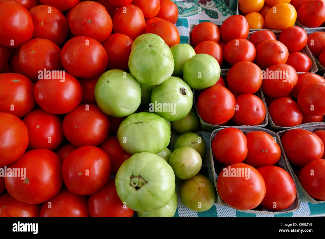 Tomatoes are a favorite food and have many uses Stock Photo - Alamy